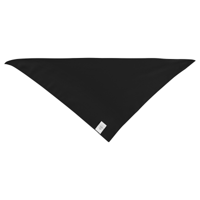 #80032 Large Triangle rPET Pet Bandana - Hit Promotional Products