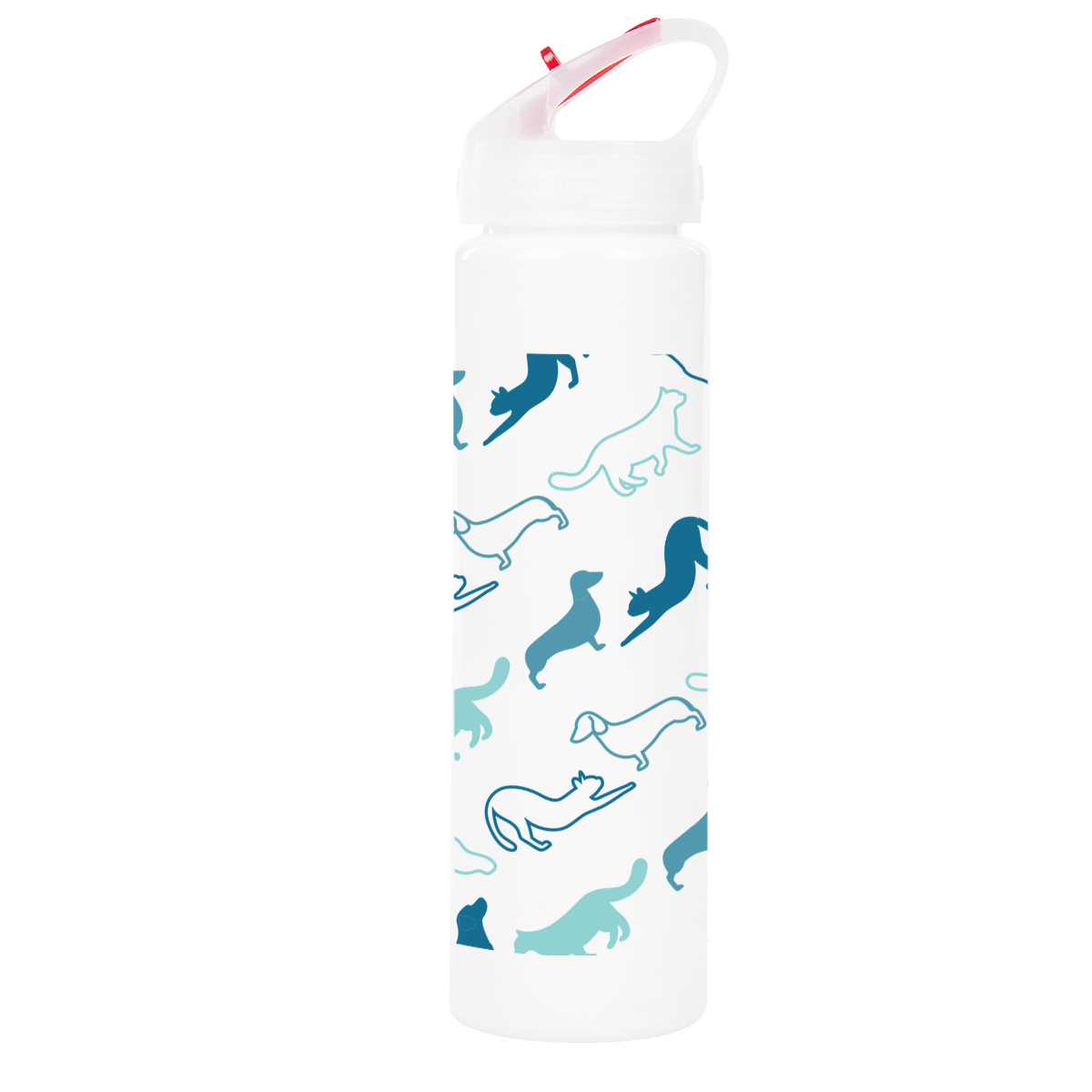 #55940 - 25 Oz. Full Color Brooks Bottle - Hit Promotional Products